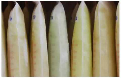 Feeding Your Baby | New Mexico WIC