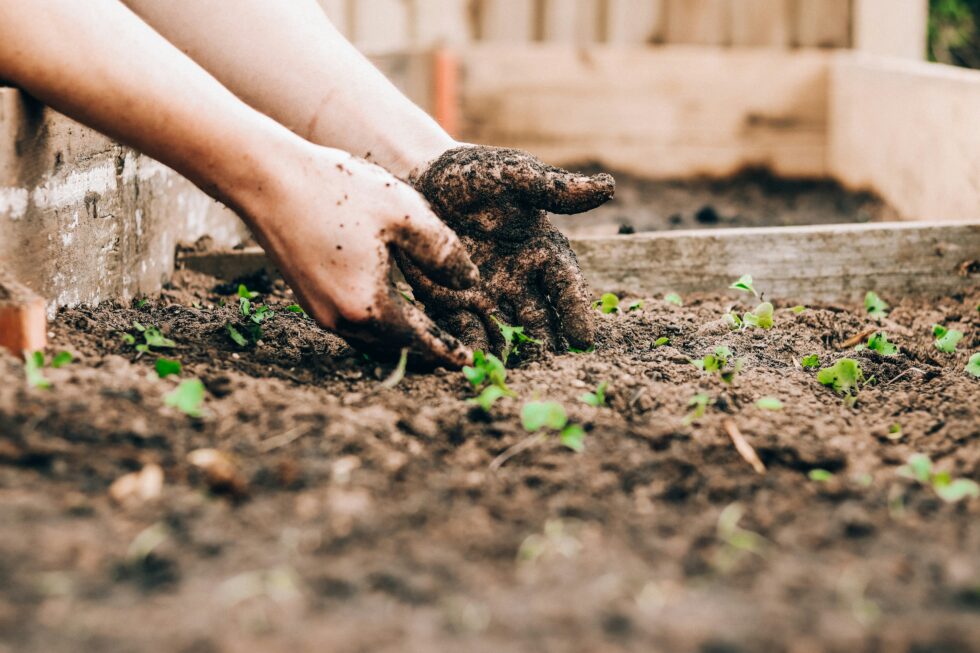 New Mexico WIC | We strive to keep your family healthy